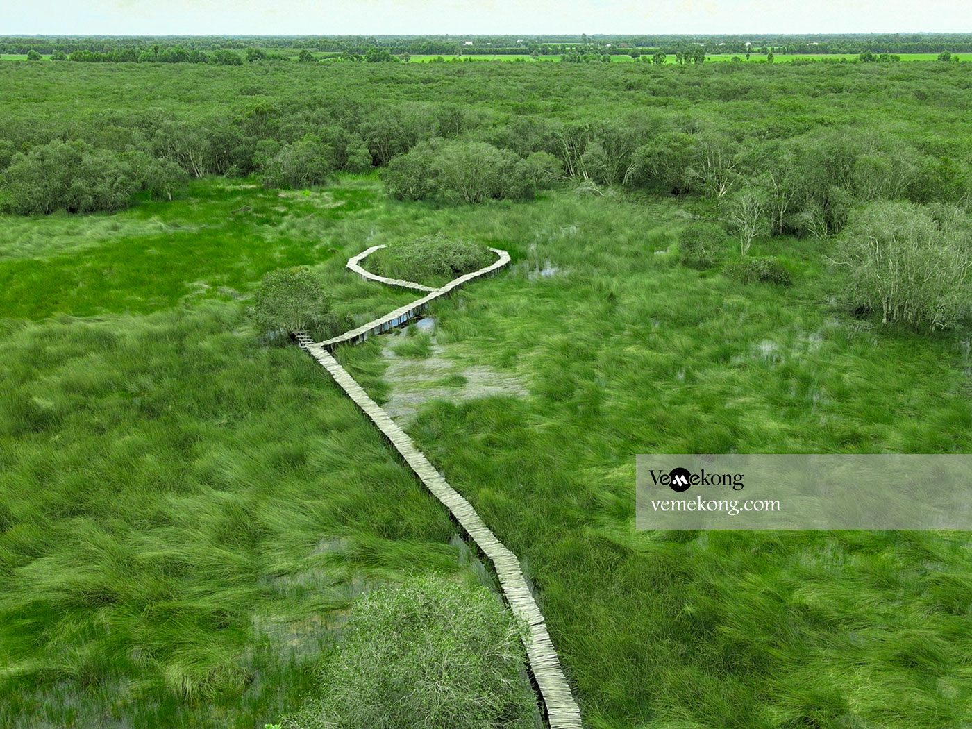 A Guide to Long An Endless Field & Hidden Gems | Things to Do & See