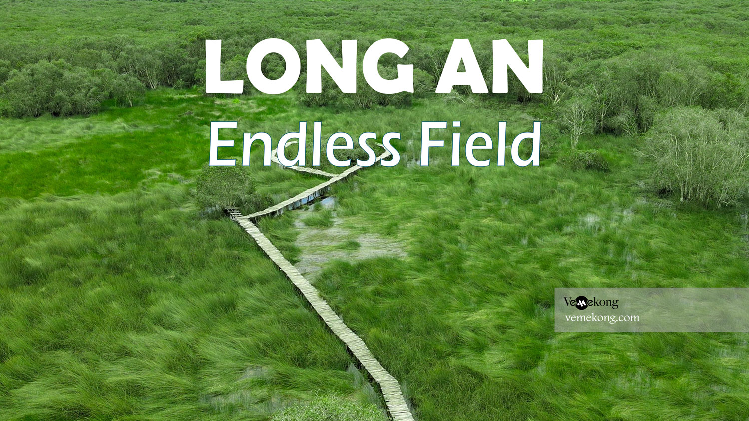 A Guide to Long An Endless Field & Hidden Gems | Things to Do & See