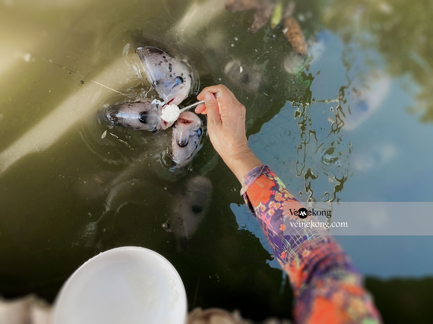 Son Islet – Community-based Tourism – Can Tho Visitor Guide