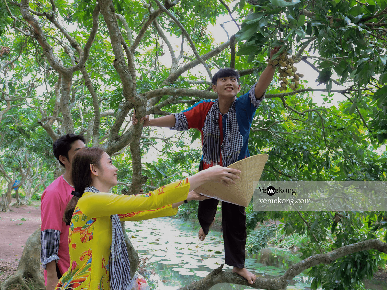 Son Islet – Community-based Tourism – Can Tho Visitor Guide