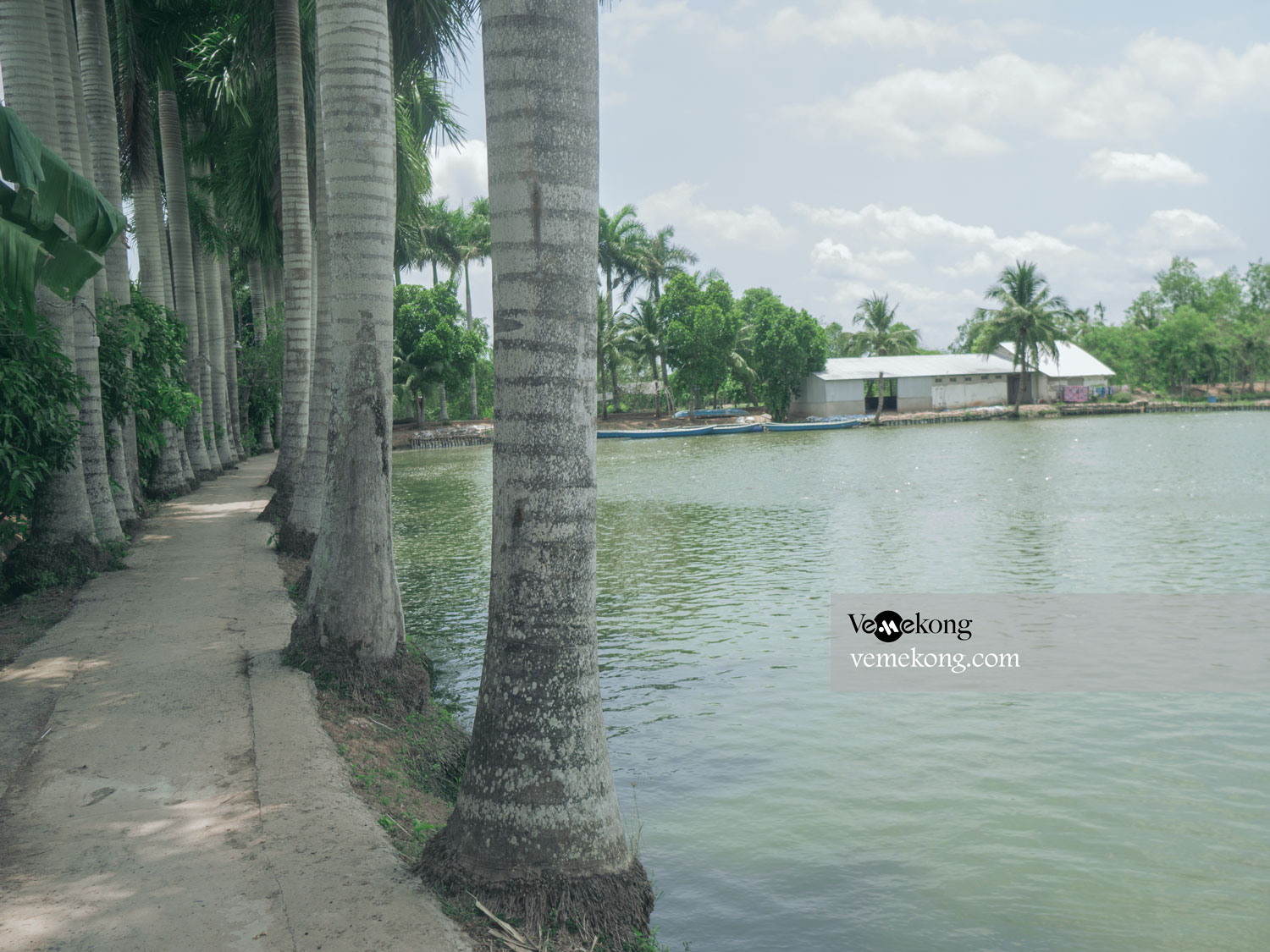 Son Islet – Community-based Tourism – Can Tho Visitor Guide