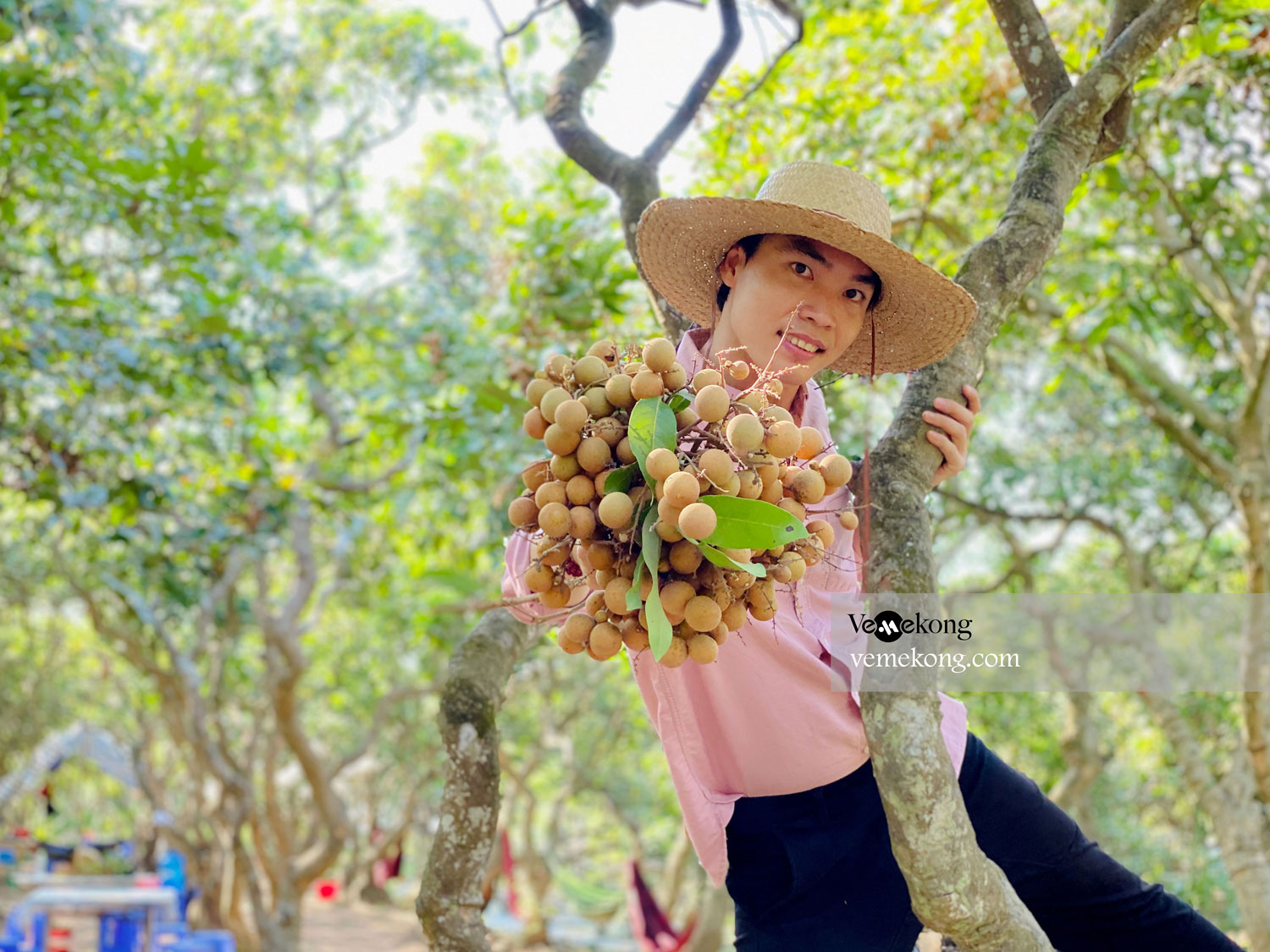 Son Islet – Community-based Tourism – Can Tho Visitor Guide