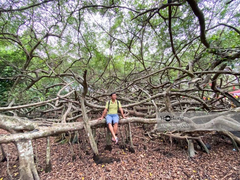 35 Can Tho Tourist Attractions – Official Can Tho Visitor Guide