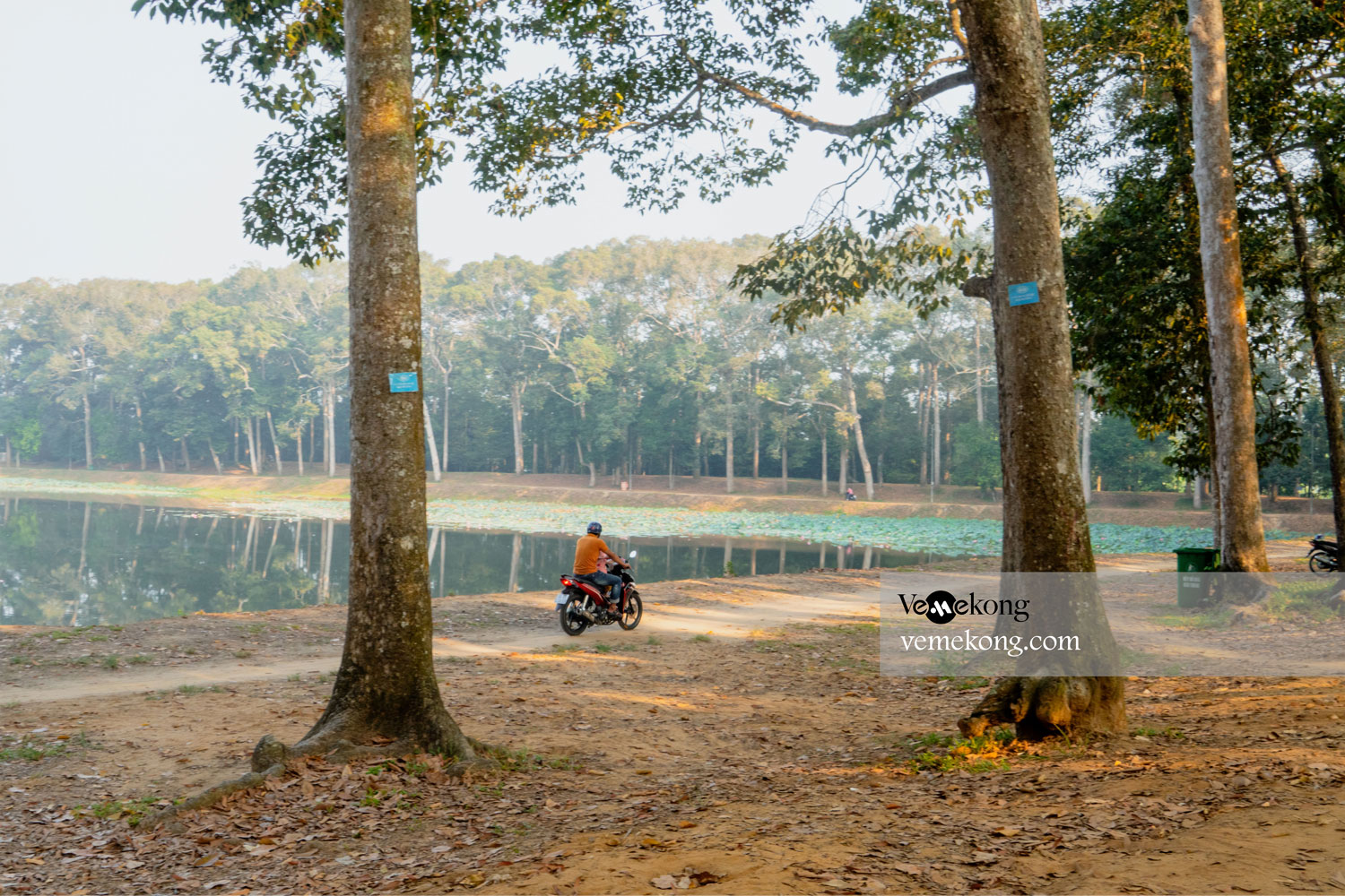 Ba Om Pond – A Must-See in Tra Vinh | Vemekong
