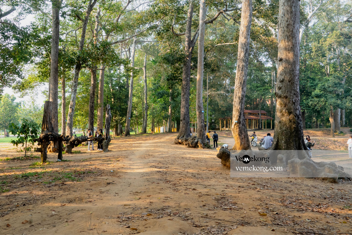 Ba Om Pond – A Must-See in Tra Vinh | Vemekong