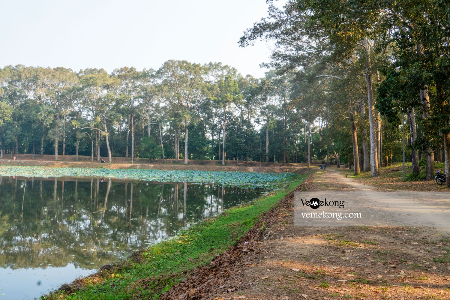 Ba Om Pond – A Must-See in Tra Vinh | Vemekong