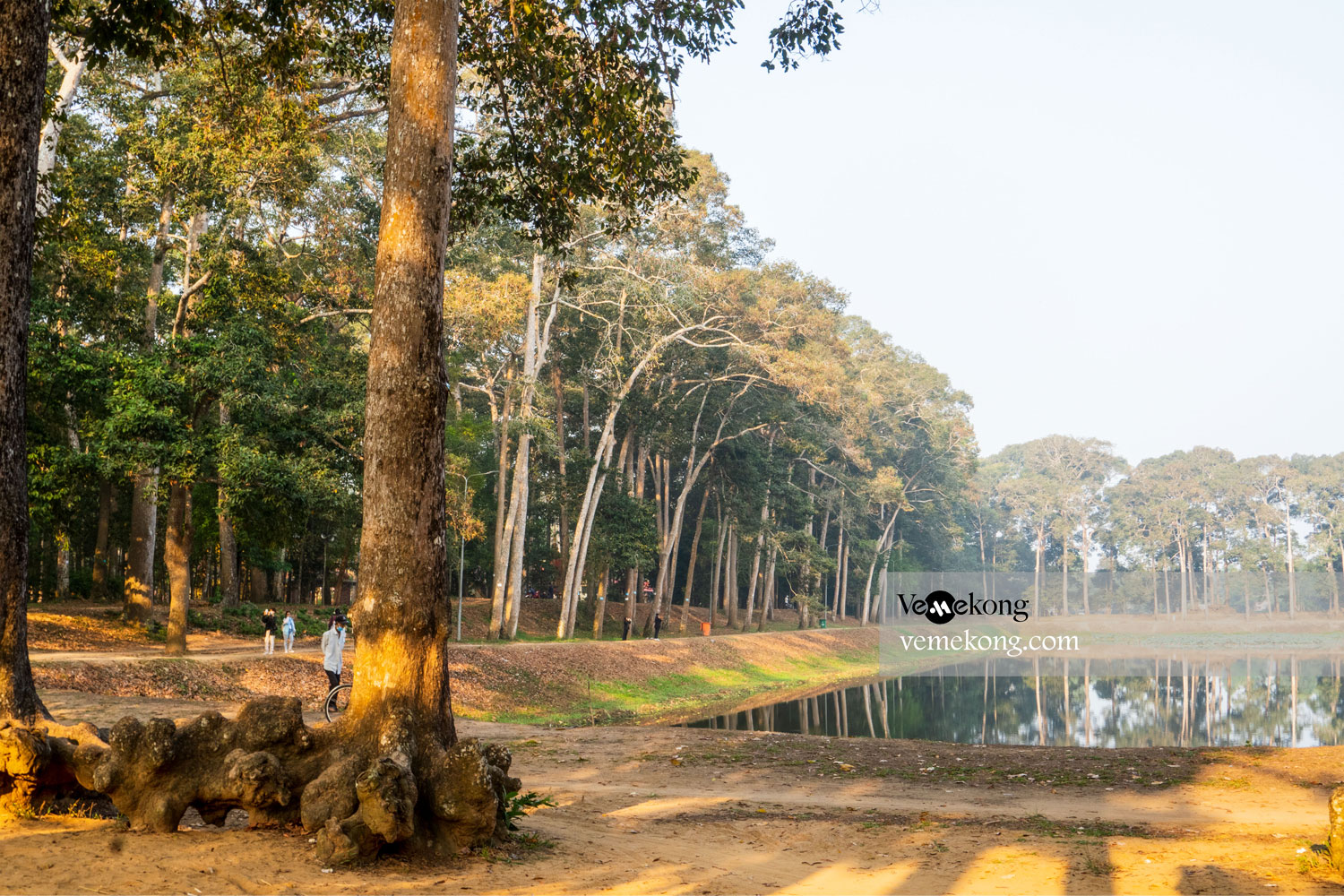 Ba Om Pond – A Must-See in Tra Vinh | Vemekong