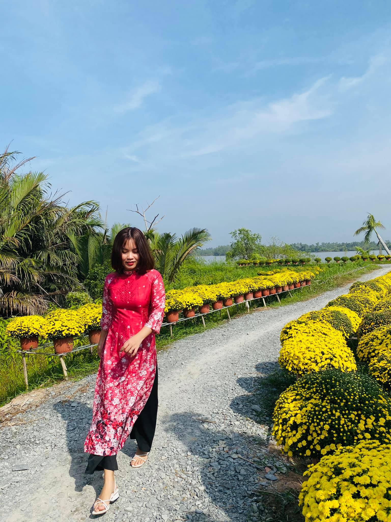 Cai Mon Ornamental Flower Village in Cho Lach - Ben Tre | Vemekong