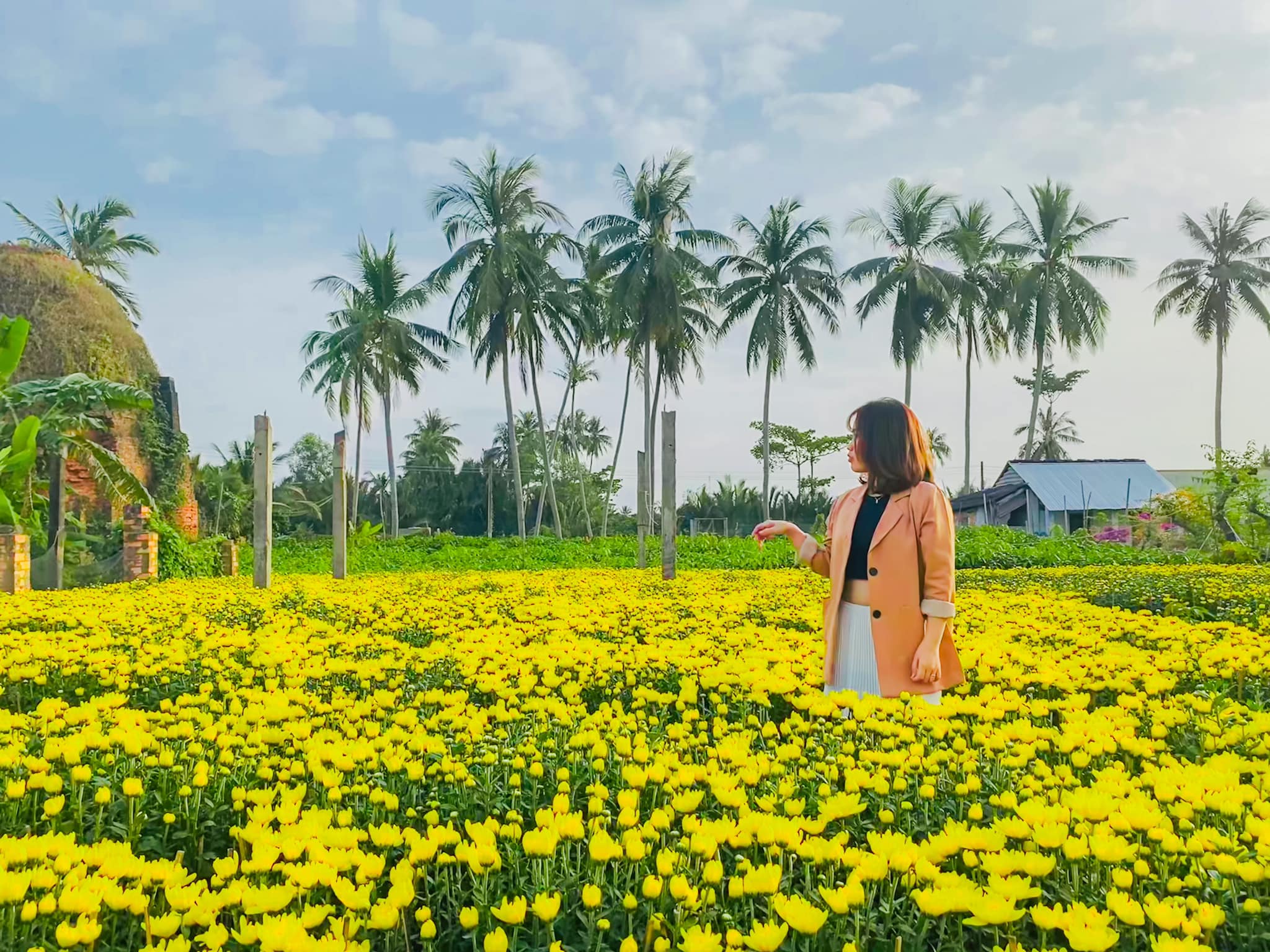 Cai Mon Ornamental Flower Village in Cho Lach - Ben Tre | Vemekong