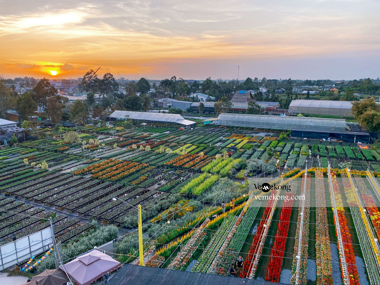 Sa Dec Flower Village – Top Thing to See in Se Dec, An Giang | Vemekong