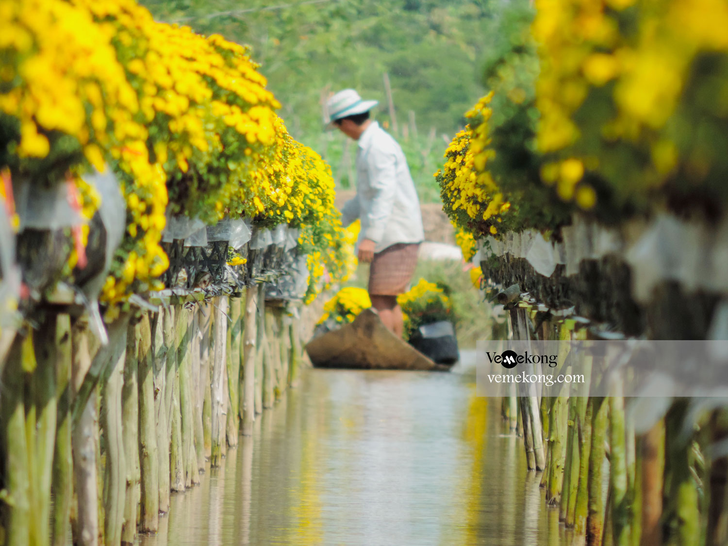 Sa Dec Flower Village – Top Thing to See in Se Dec, An Giang | Vemekong