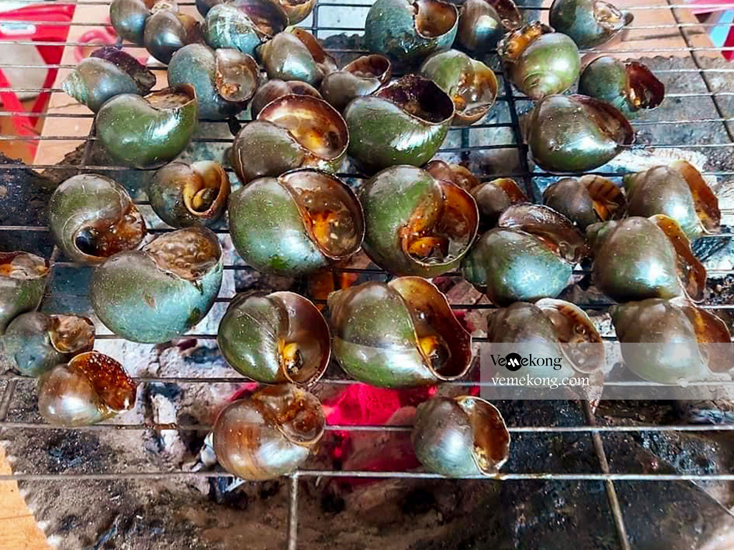 Grilled Snails with Pepper – Eat Best Food in Can Tho | Vemekong