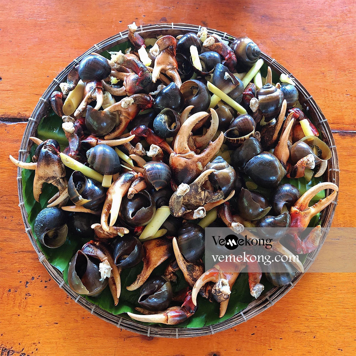 Grilled Snails with Pepper – Eat Best Food in Can Tho | Vemekong
