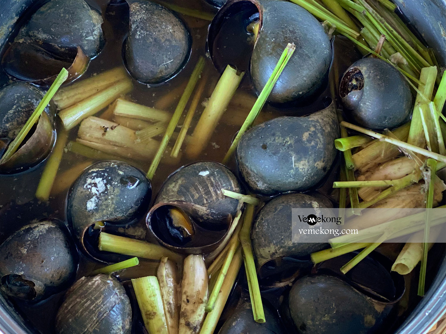Grilled Snails with Pepper – Eat Best Food in Can Tho | Vemekong