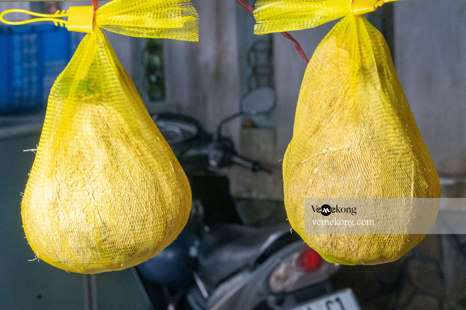 Macapuno Coconut – Eat Best Food in Tra Vinh | Vemekong