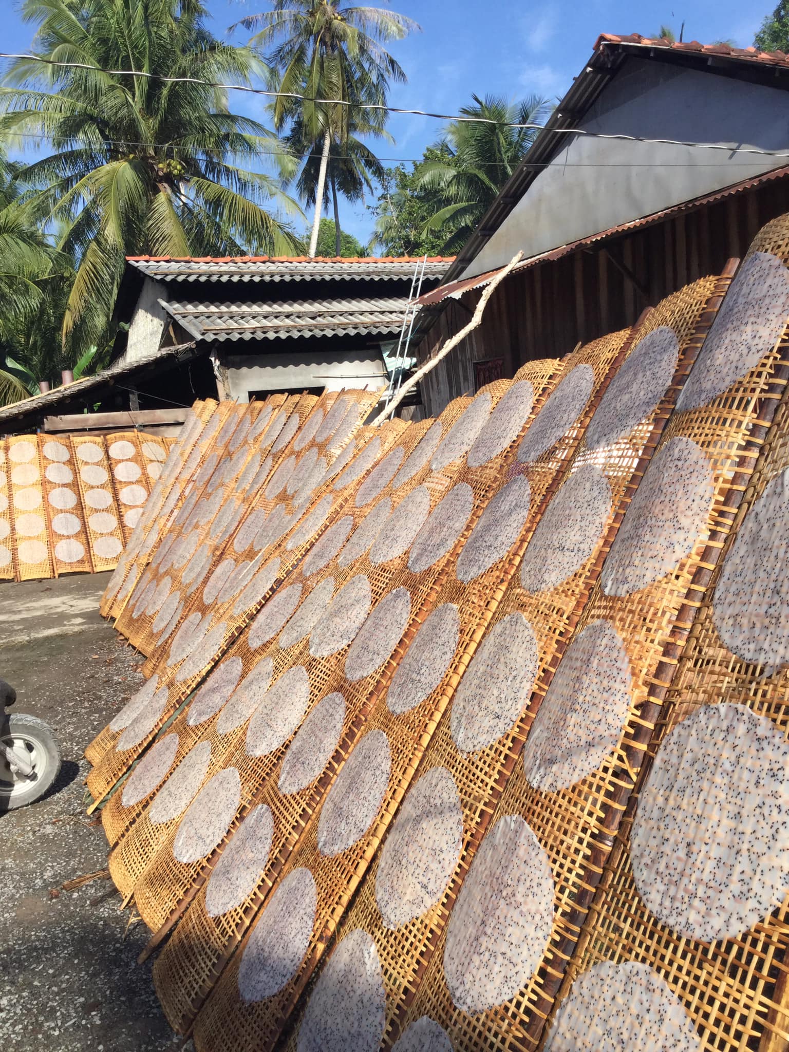 My Long Rice Paper Village – Thing to See in Ben Tre | Vemekong