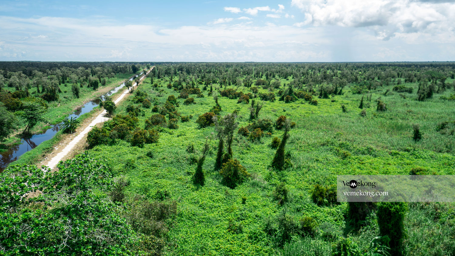 U Minh Ha National Park – Top thing to do in Ca Mau | Vemekong