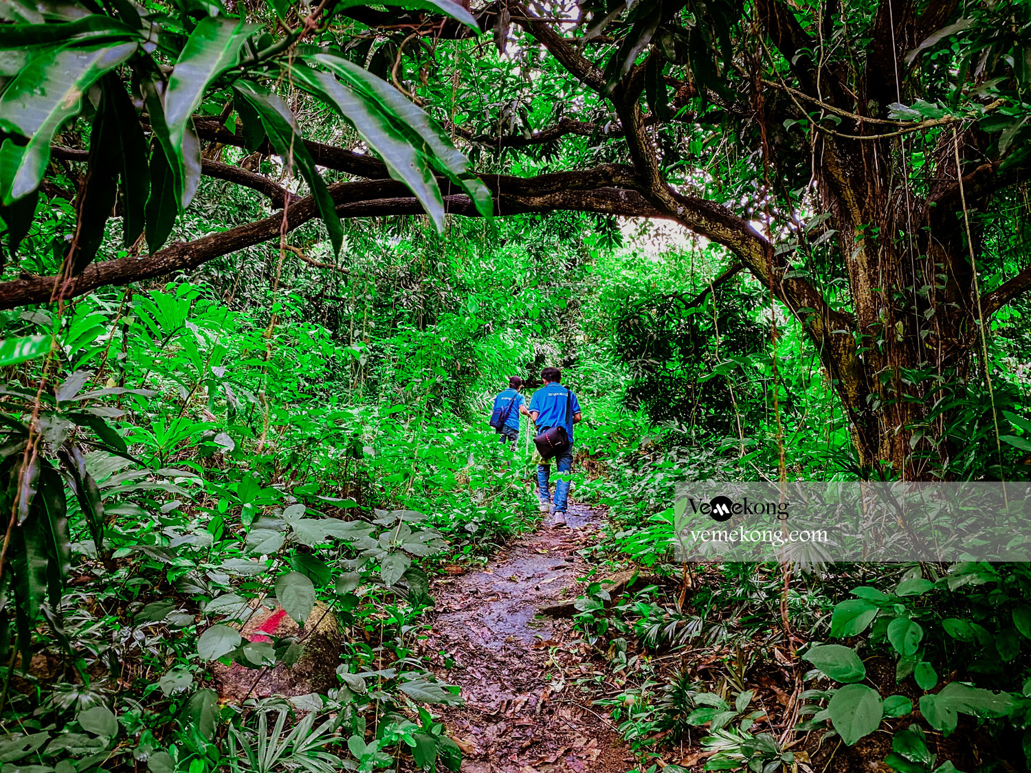 Cam Mountain – Forbidden Mountain – Thing to Trek in An Giang
