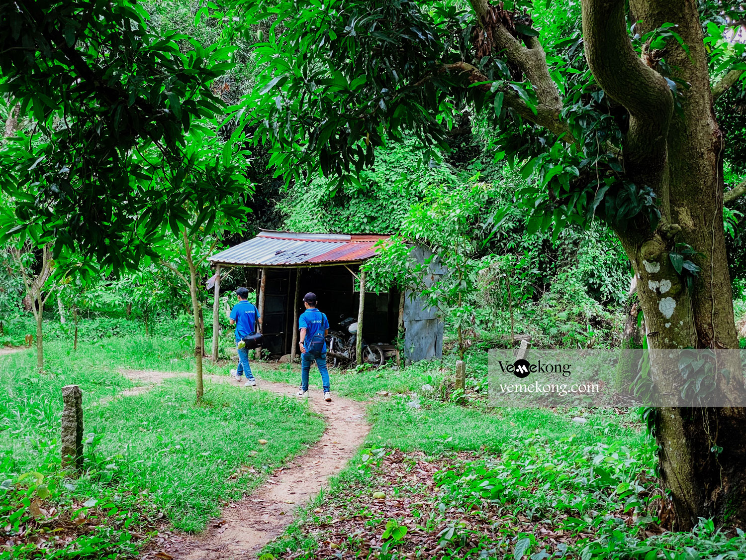 Cam Mountain – Forbidden Mountain – Thing to Trek in An Giang