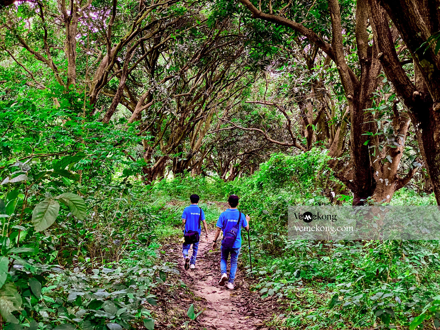 Cam Mountain – Forbidden Mountain – Thing to Trek in An Giang